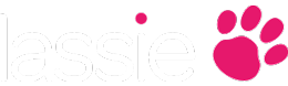 Pinksheep Lassie :: Login